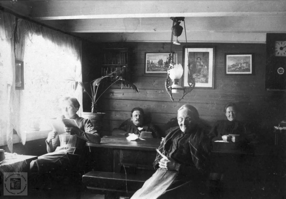 I dagligstova på Ytre Homme i Bjelland. - Historiske Foto- Marnardal og ...
