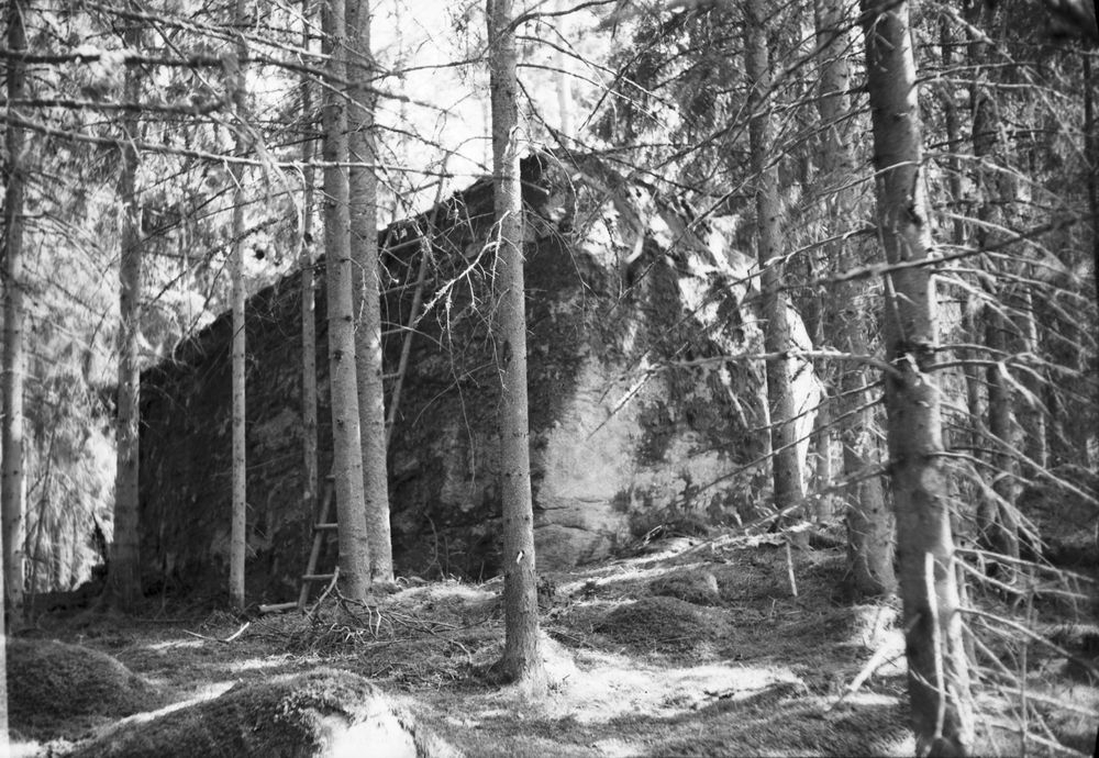 Flyttblock med skålgropar Tumberg - Vänersborgs museum / DigitaltMuseum