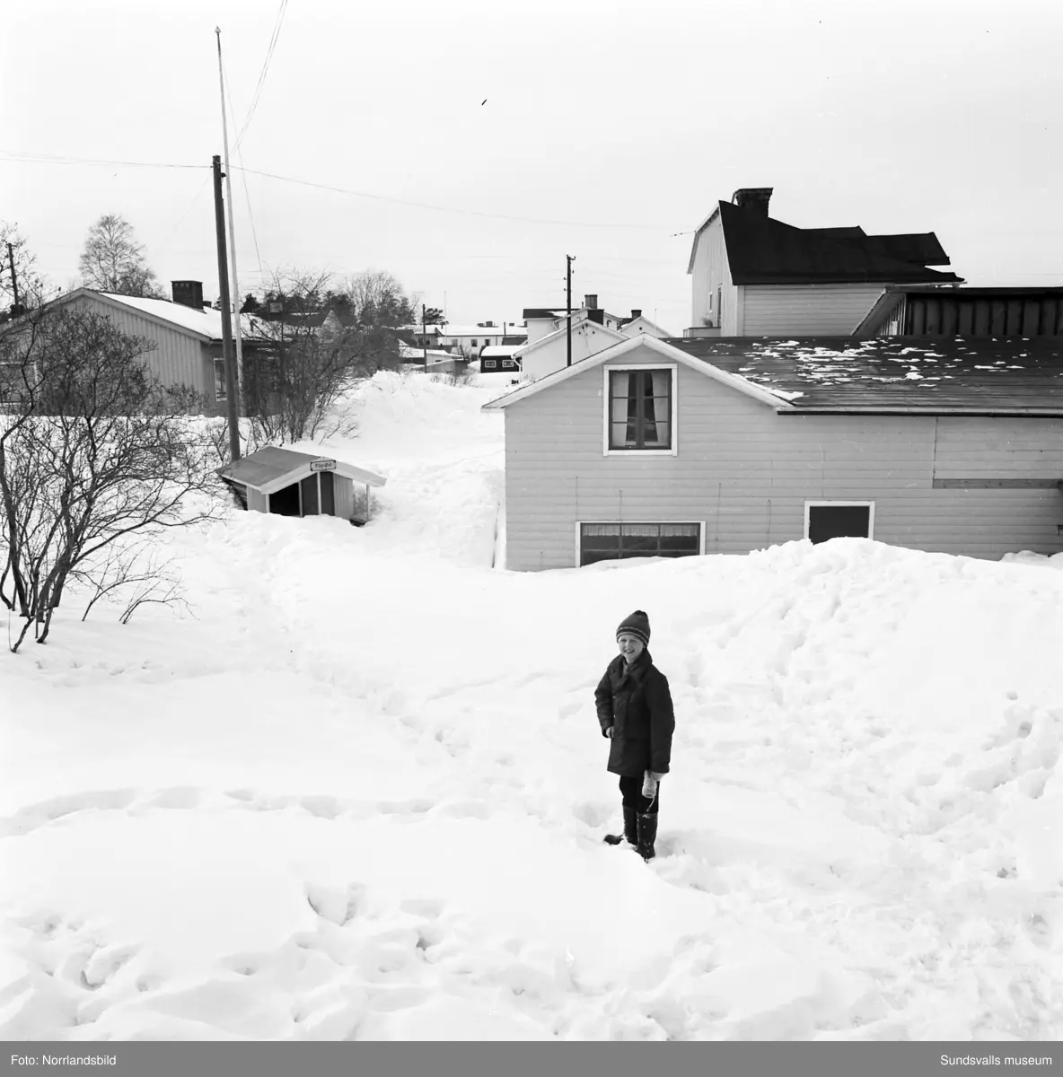 Vinterbilder från Gränsgatan på Södermalm. Villor, snöhögar, hundar ...