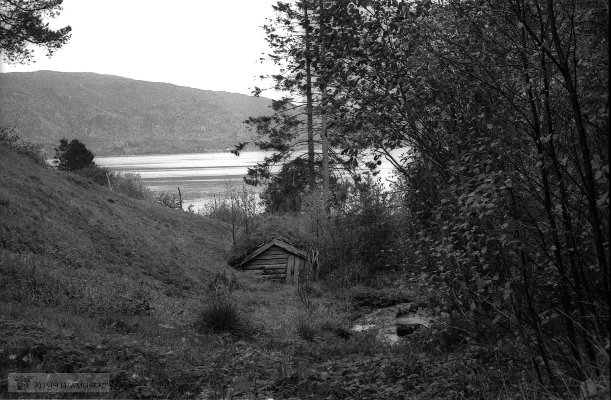 Hos Ola O. Sandnes f.13.05.1931 d.24.11.2022..Smia..(Se Randi Ingunn ...