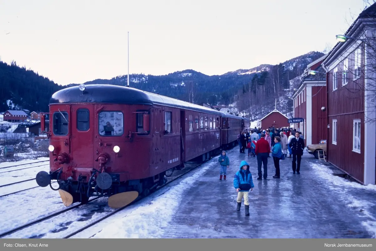 Dieselmotorvognene BM 86 15 og BM 86 25 og styrevogn BFS 86 99 (nærmest ...