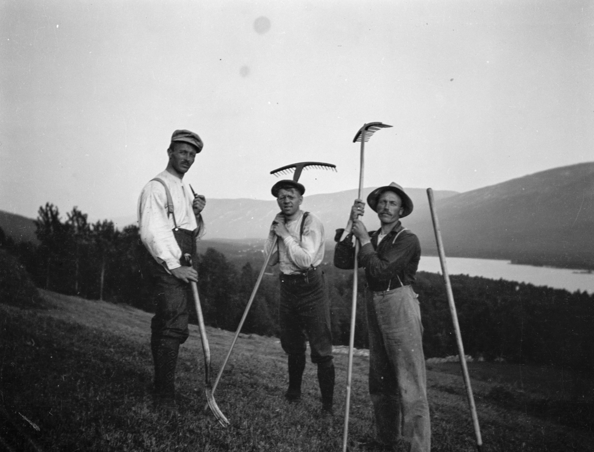 Tre slåttekarer med river og et greip. I bakgrunnen Lesjaskogsvatnet ...