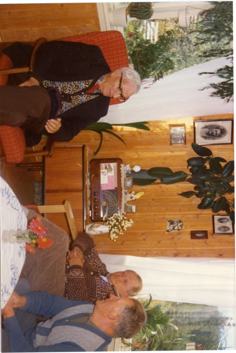 Tre karar på snei - Valdres Folkemuseum / DigitaltMuseum