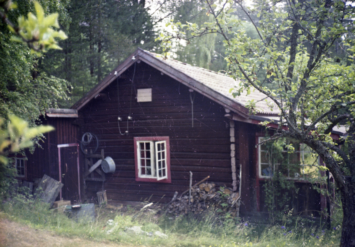 Fem bilde frå eit tun med stue og lite uthus - Bø Museum / DigitaltMuseum