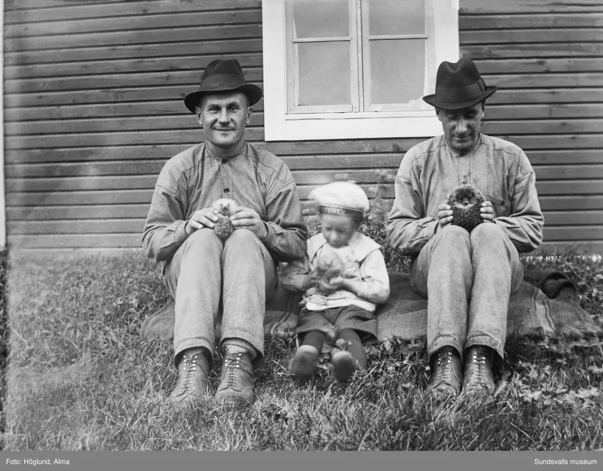 Bröderna Linus och Edvin Höglund med sin brorson Per mellan sig på en ...