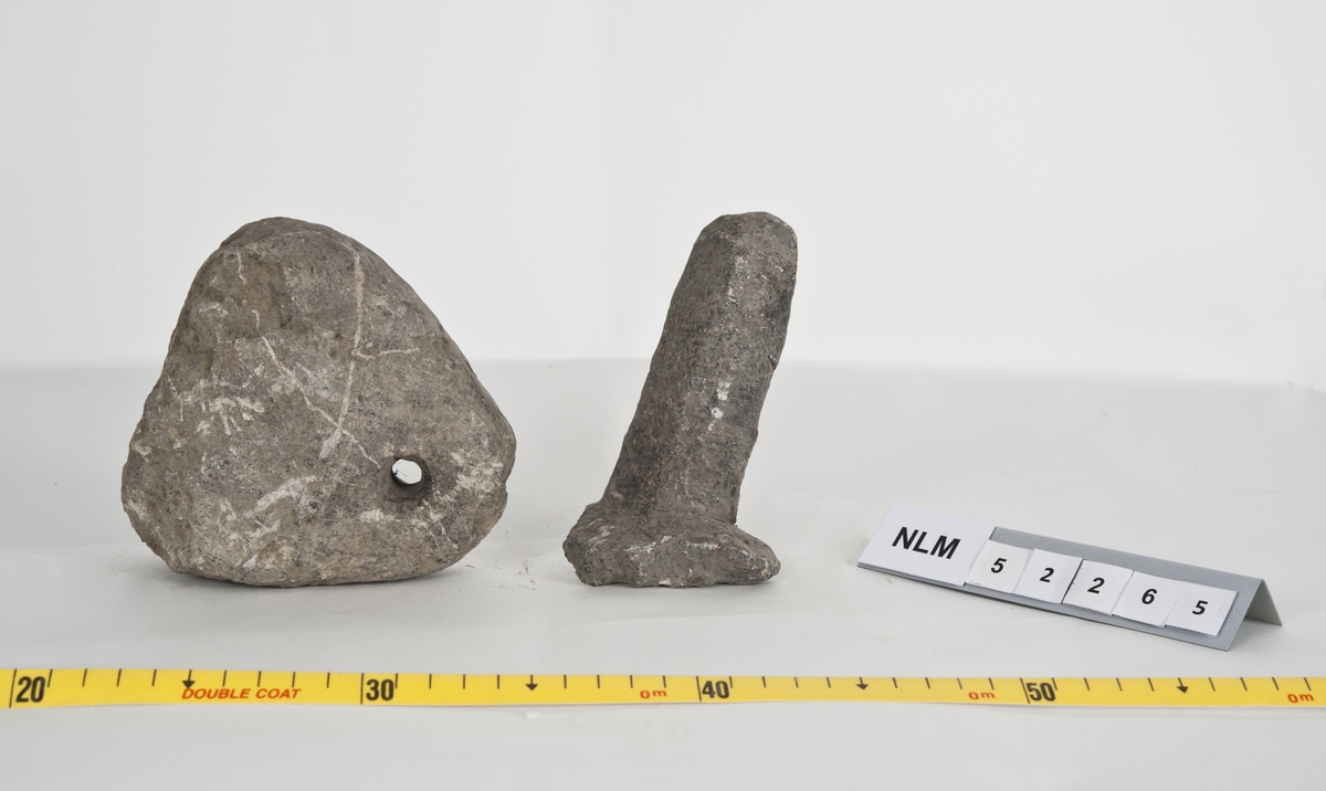 Geologisk samling m/unik ferskvannsfossiler. - Vitenparken Campus Ås ...