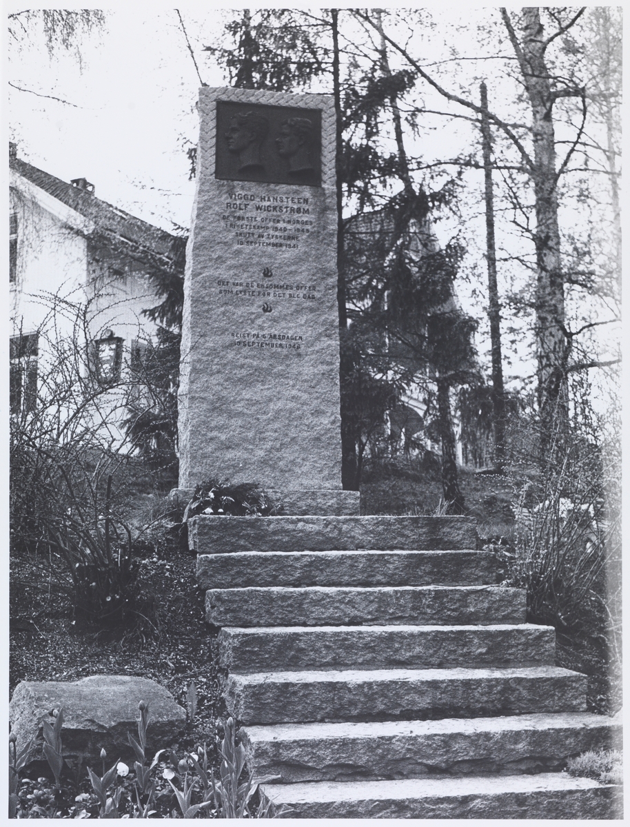 Støtte over Viggo Hansteen og Rolf Wickstrøm - DEXTRA Photo ...