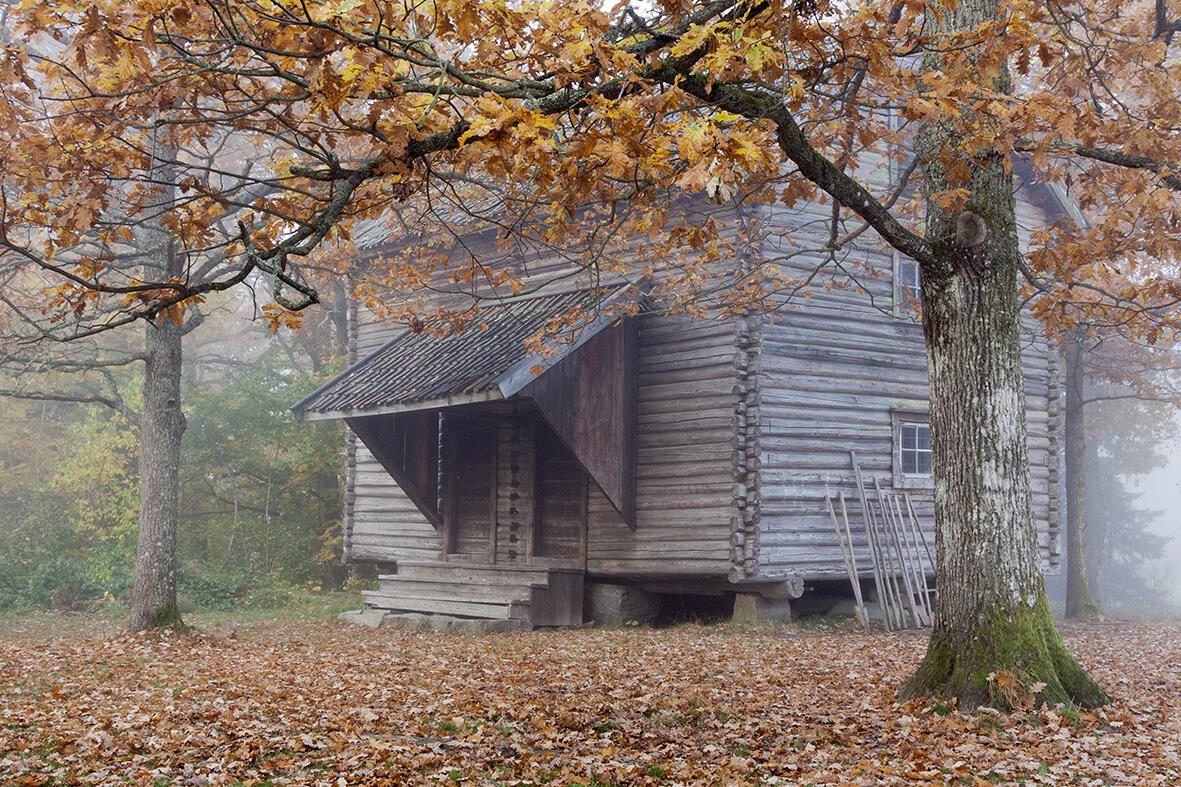 Follo museum - Museene i Akershus