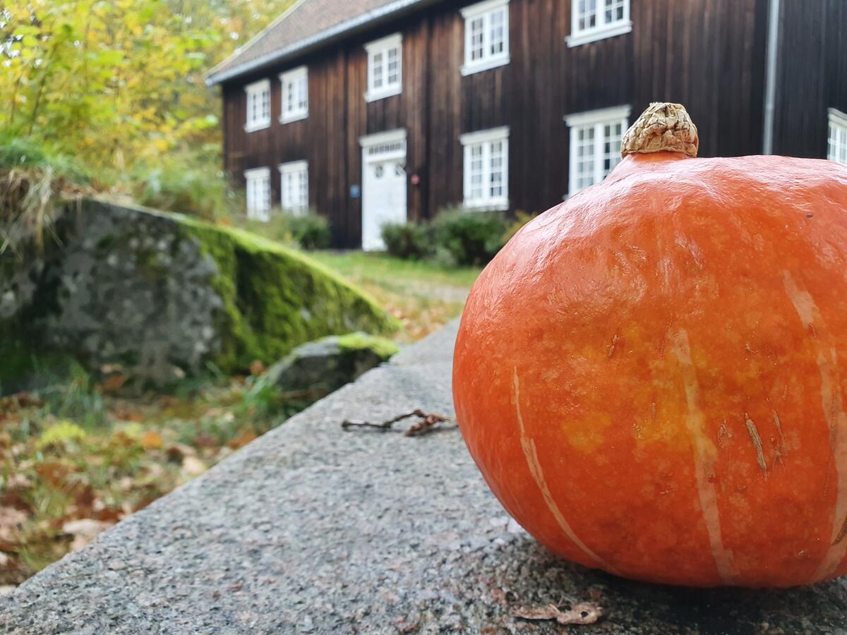 Follo museum - Museene i Akershus