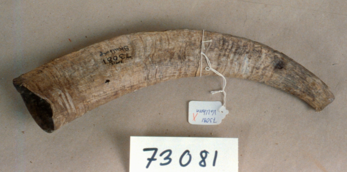 Vallhorn - Västergötlands museum / DigitaltMuseum