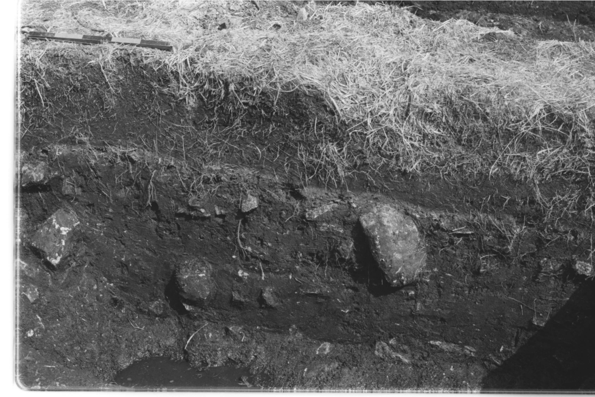 Isdal, Lindås, Hordaland. Lok.1, Haglesund. Film 1. Innberetning og ...