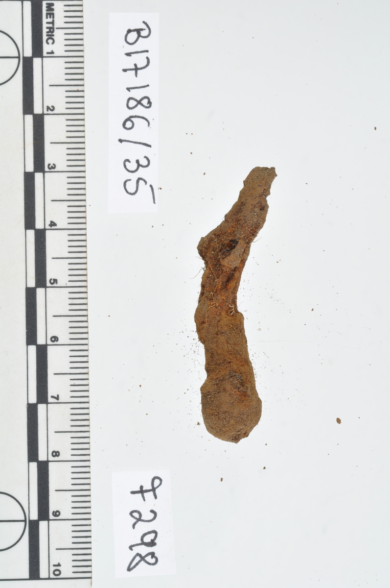 B 17186.35 F298 Nagle eller spiker med rundt hode og firkantet stilk ...