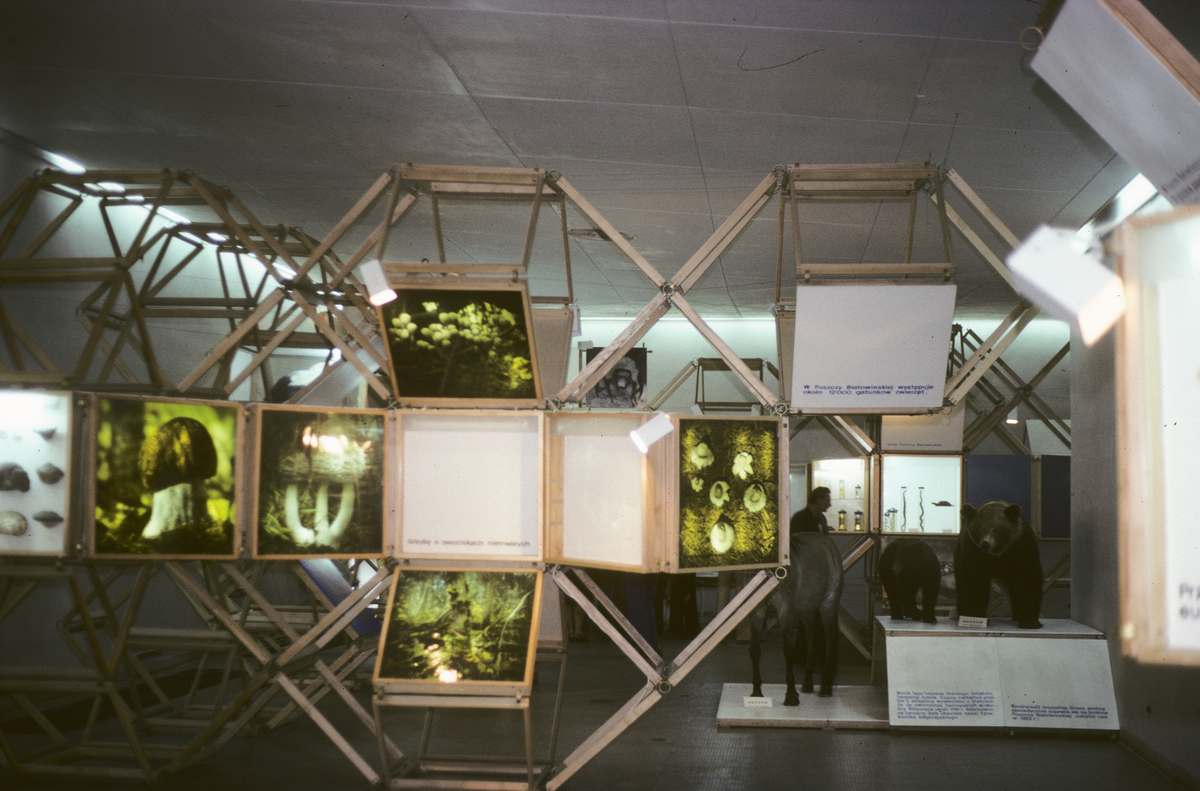 Naturhistorisk museum, Białowieża Nasjonalpark, Polen. - Arkeologisk ...