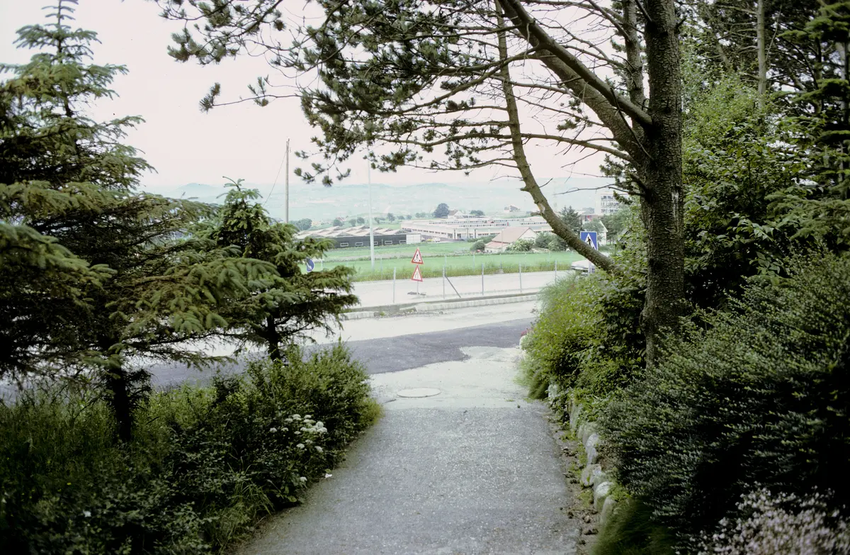 Dokumentasjon av Tjodveien på Ullandhaug, 3075 E10 X1, fra Tellusv. til ...