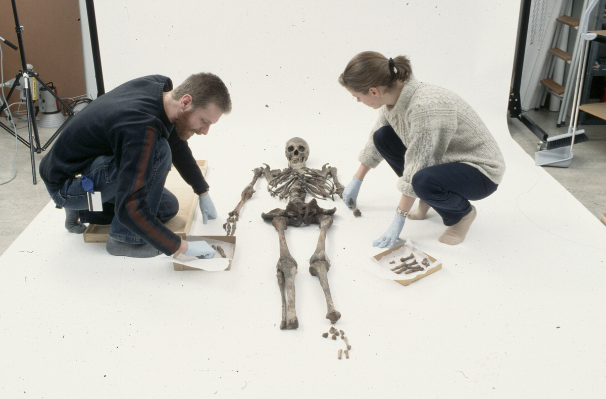 Skjelett fra Avaldsnes kirke. - Arkeologisk museum, Universitetet i ...