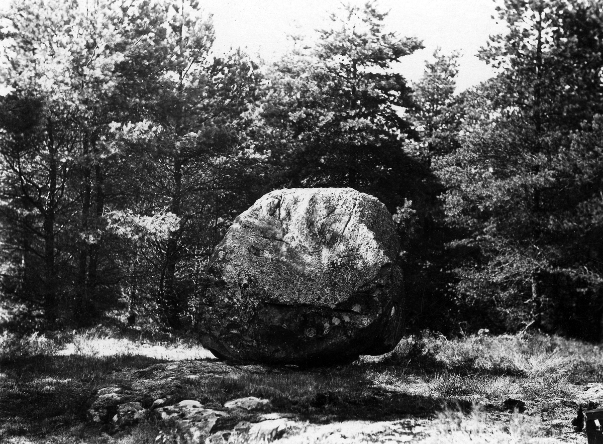 Knäreds sn. Jättesten, flyttblock på Hyltabacken vid Putsered ...