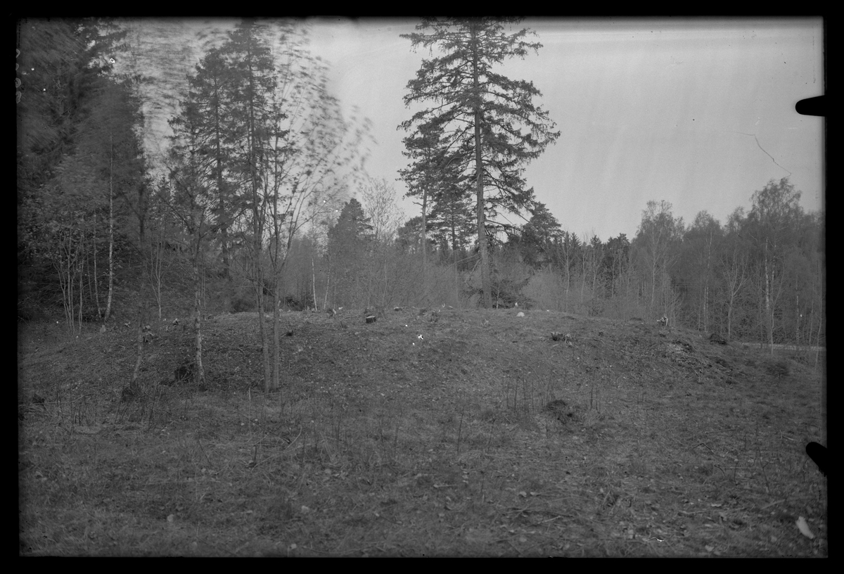 Gravhög frilagd från skog och torv, på Tibbleåsen i Tibble ...