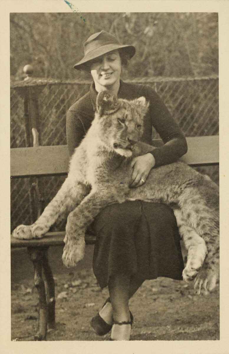 Bruddstykker - PREUSmuseum.no