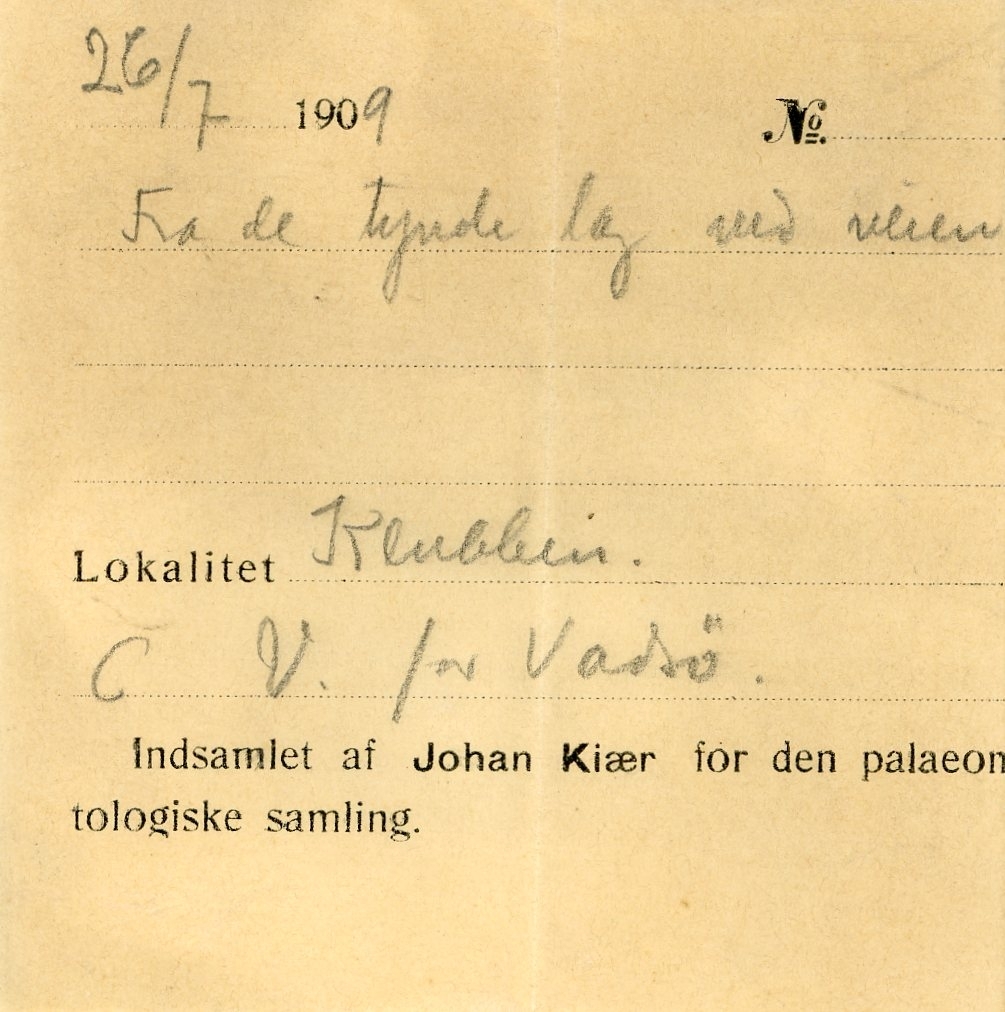 Bergart - Norsk Bergverksmuseum / DigitaltMuseum