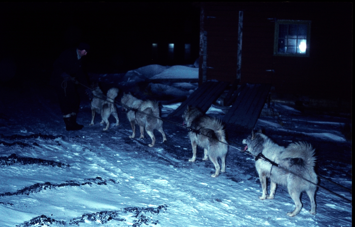 Knut Ingard Westeren, Ingrid Wendt og Trond Westeren på tur med ...