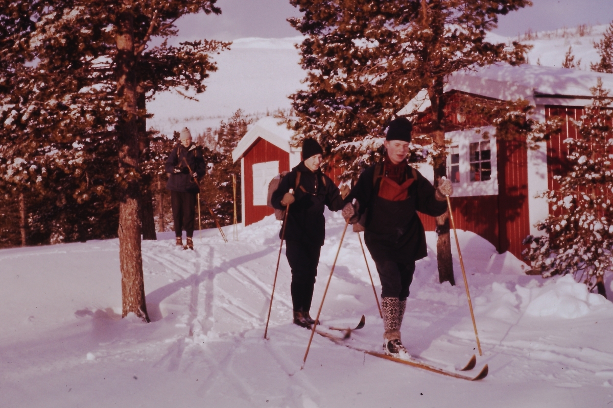 Turisthytta på Nordstul - Kongsberg Historielag / DigitaltMuseum
