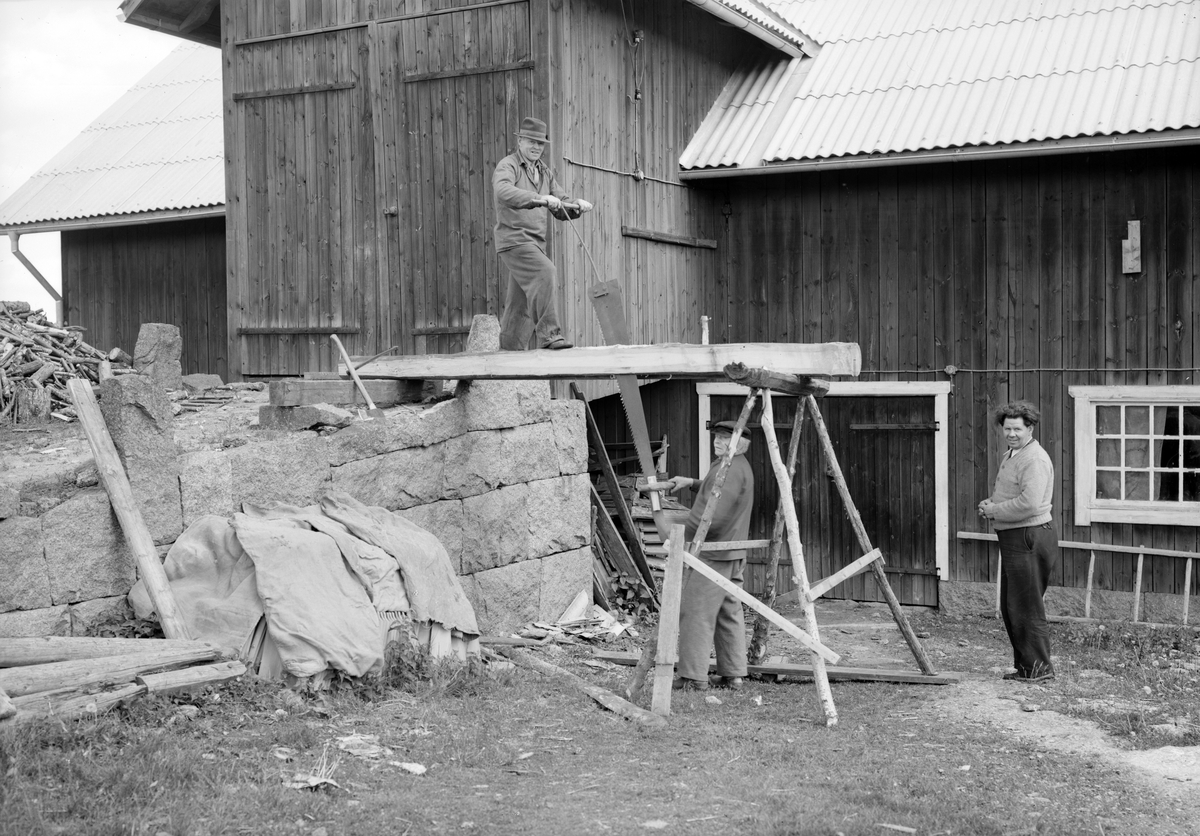 Kransågning - Östergötlands museum / DigitaltMuseum