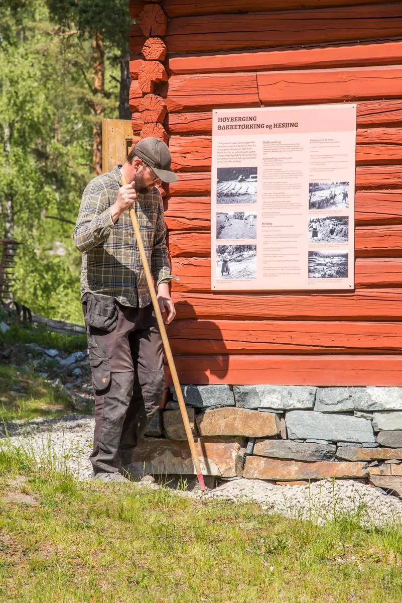 Mjølid - Hallingdal Museum