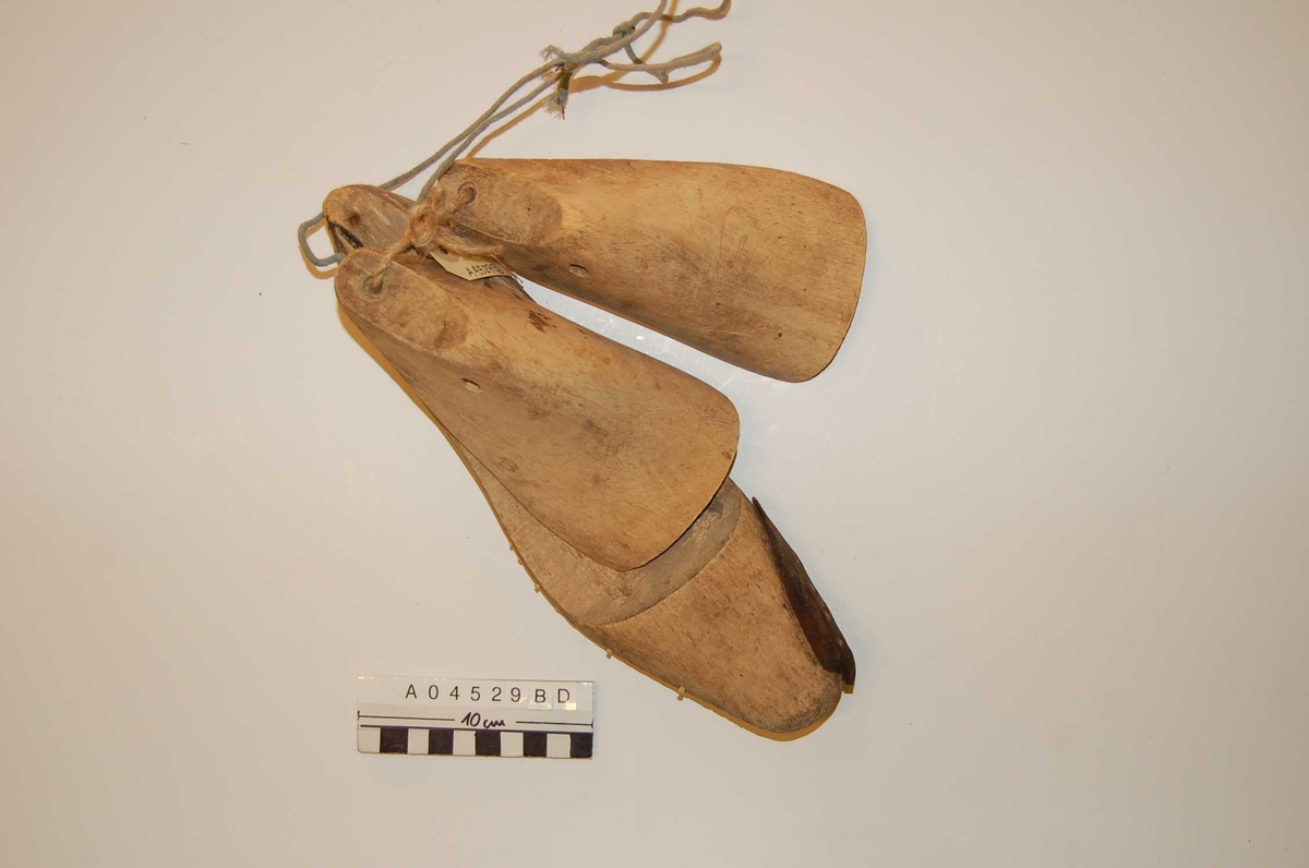 Skolest - Museene i Akershus / DigitaltMuseum