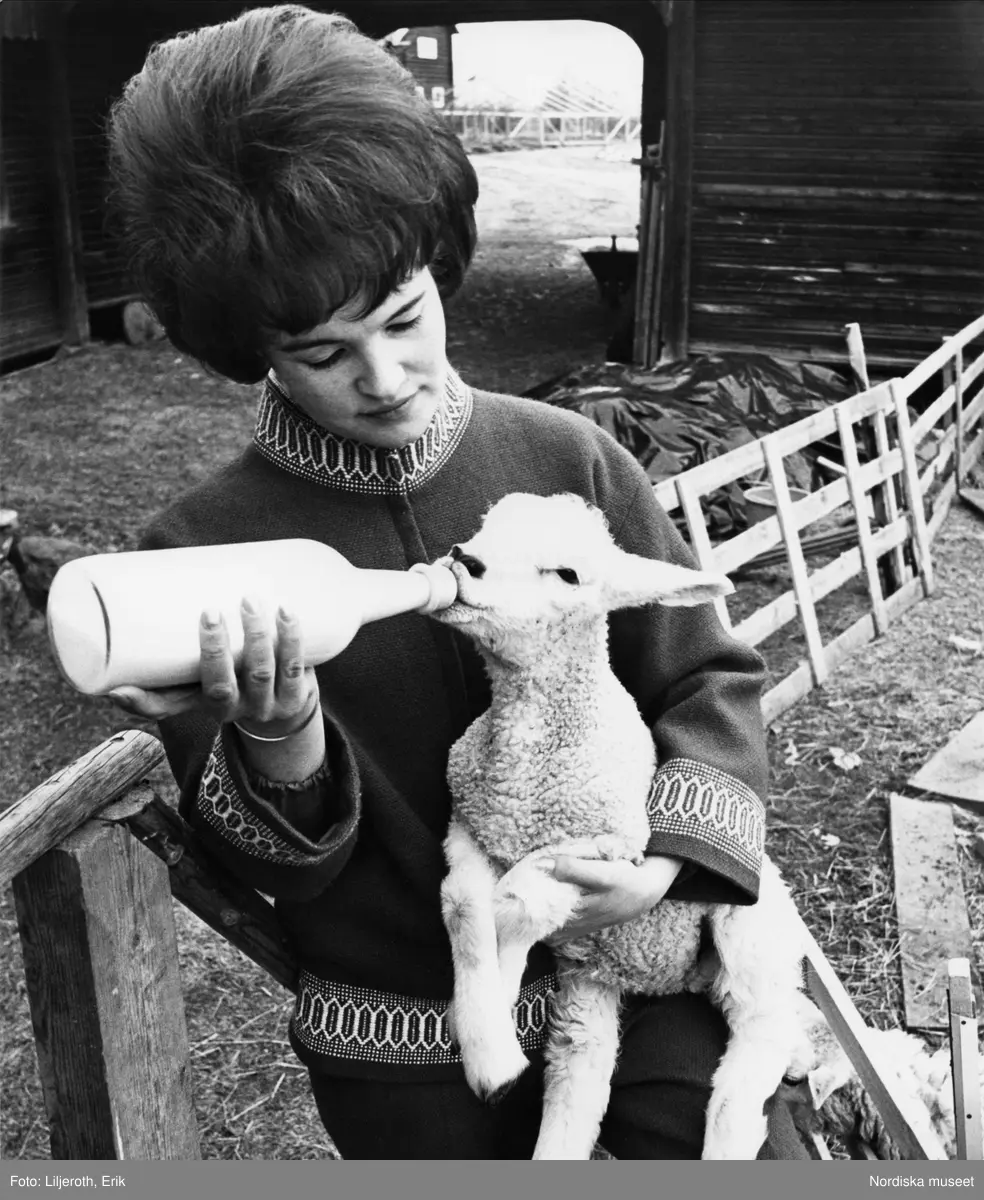 Hansbacksgården, Älvdalen, matning av lamm med nappflaska - Nordiska museet / DigitaltMuseum