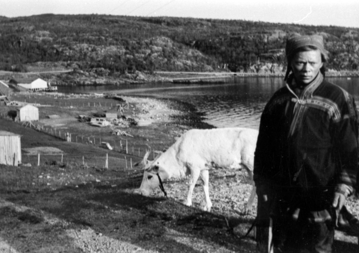 Topografi. Same med rein - Nord-Troms Museum / DigitaltMuseum