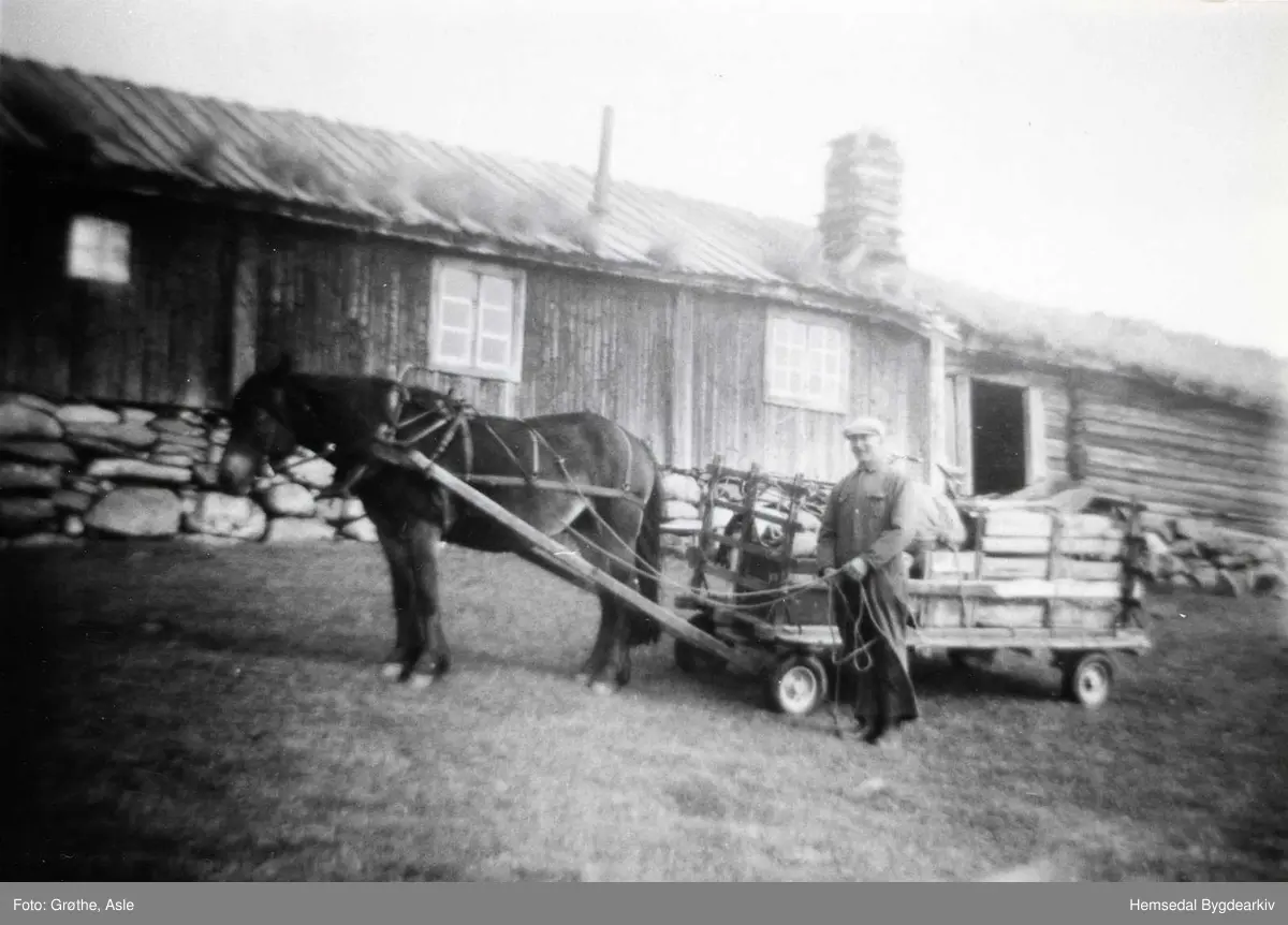Knut A. Grøthe med flyttelass (fløtarlass) på Jonstølane 63/12 i ...