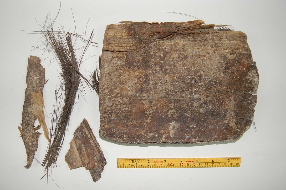 Barde - Svalbard Museum / DigitaltMuseum