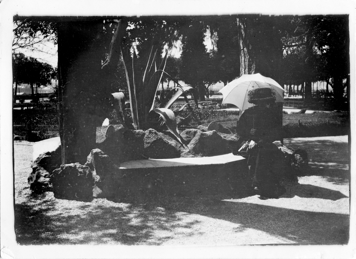 Ester Ellqvist-Bauer sitter med ett parasoll under ett träd i Italien ...