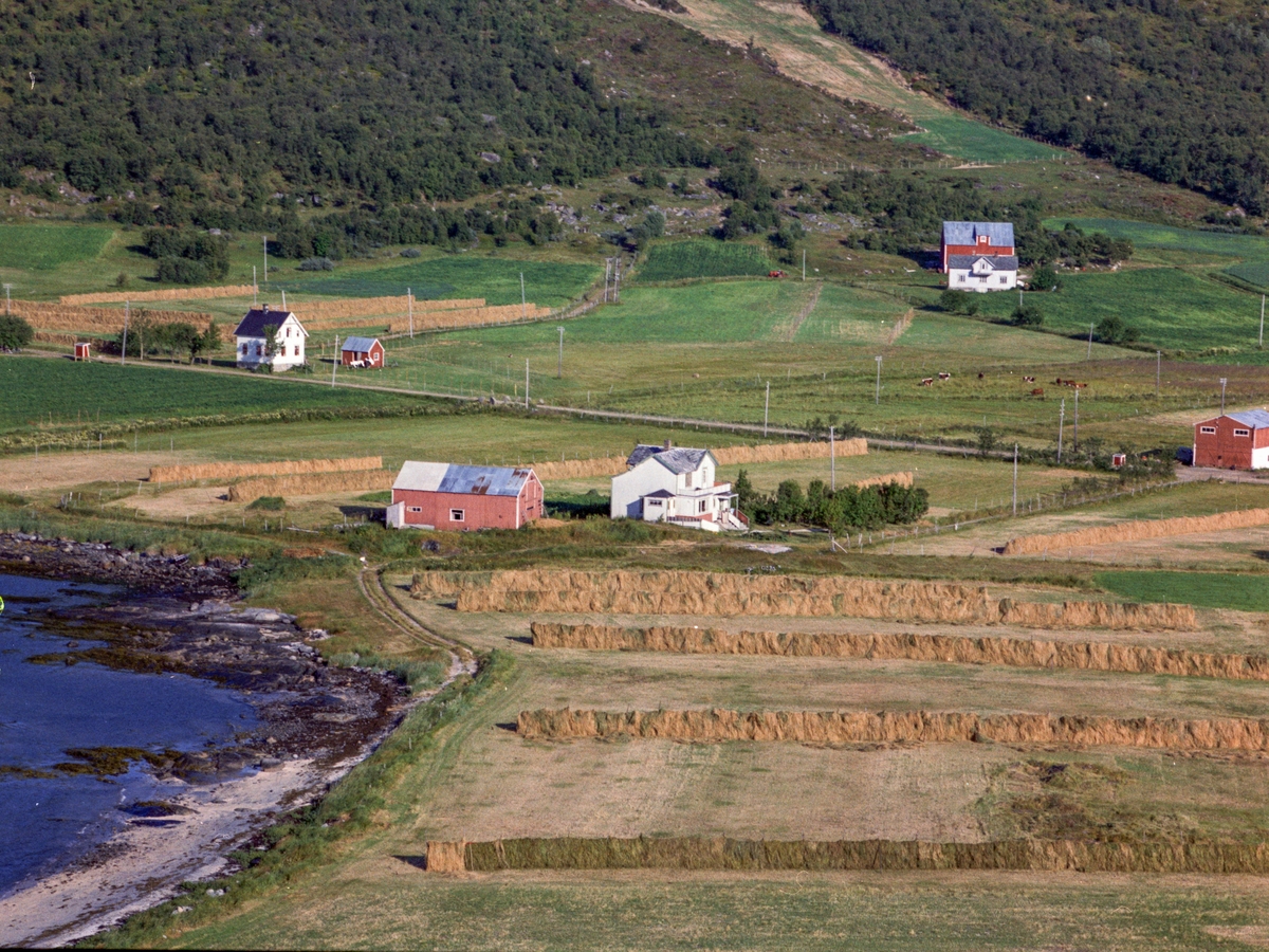 Flyfoto fra Elde i Kvæfjord. - Sør-Troms Museum / DigitaltMuseum