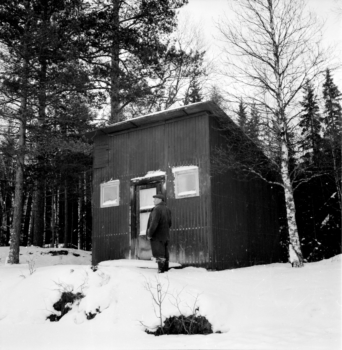 Flätsbo, Alfta, Erik Blom, Frida, 7 Januari 1965 - Länsmuseet Gävleborg ...