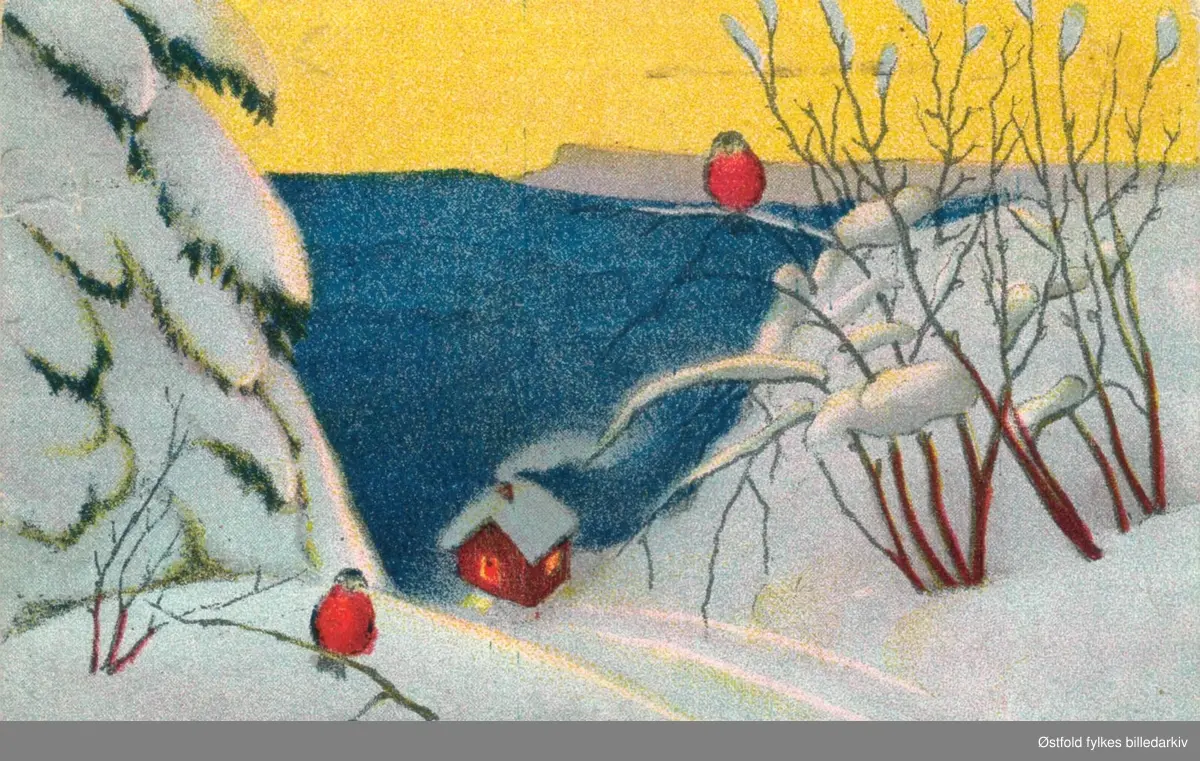 Julekort. Tegning. Vinterlandskap med dompap. Poststempla 1916 ...
