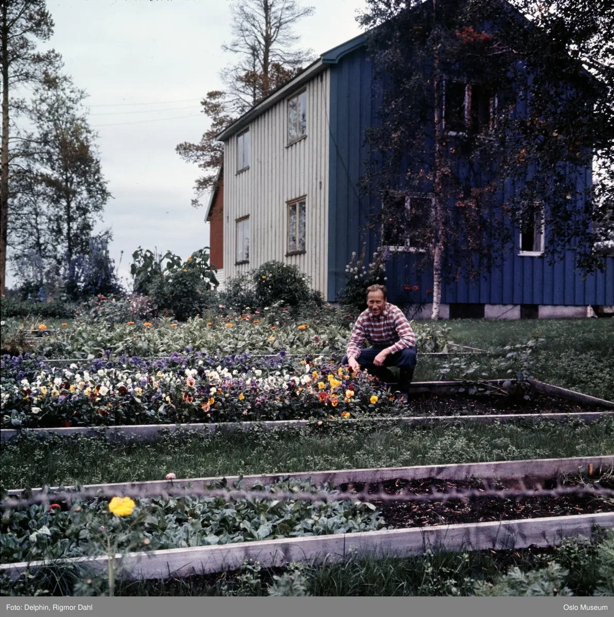 Hos Walter Johansen på Grorud gård i Pasvikdalen. - Oslo Museum ...