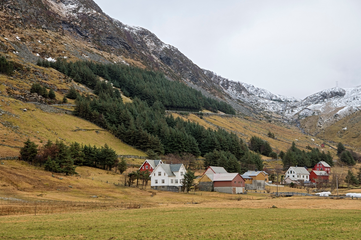 Kulturlandskap med jordbruksarealer og skog ved Hoddevika på Stad i ... Kulturlandskap med jordbruksarealer og skog ved Hoddevika på Stad i ...