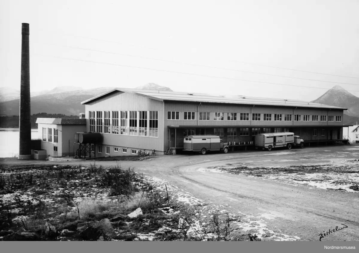 Foto fra Bolsøy meieri i Molde. Fra en samling fotografier som ...