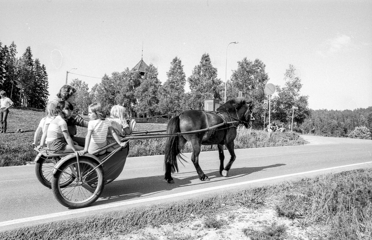 Siggeruddagen 1982. Lek med sekkeløp, hest og sulky med barn, barn og ...