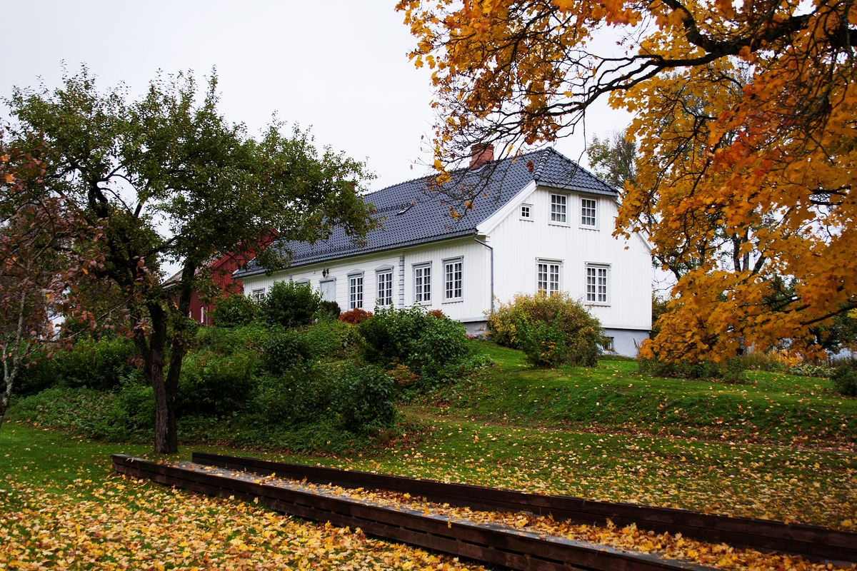 Henrik Ibsen - Telemark Museum / DigitaltMuseum