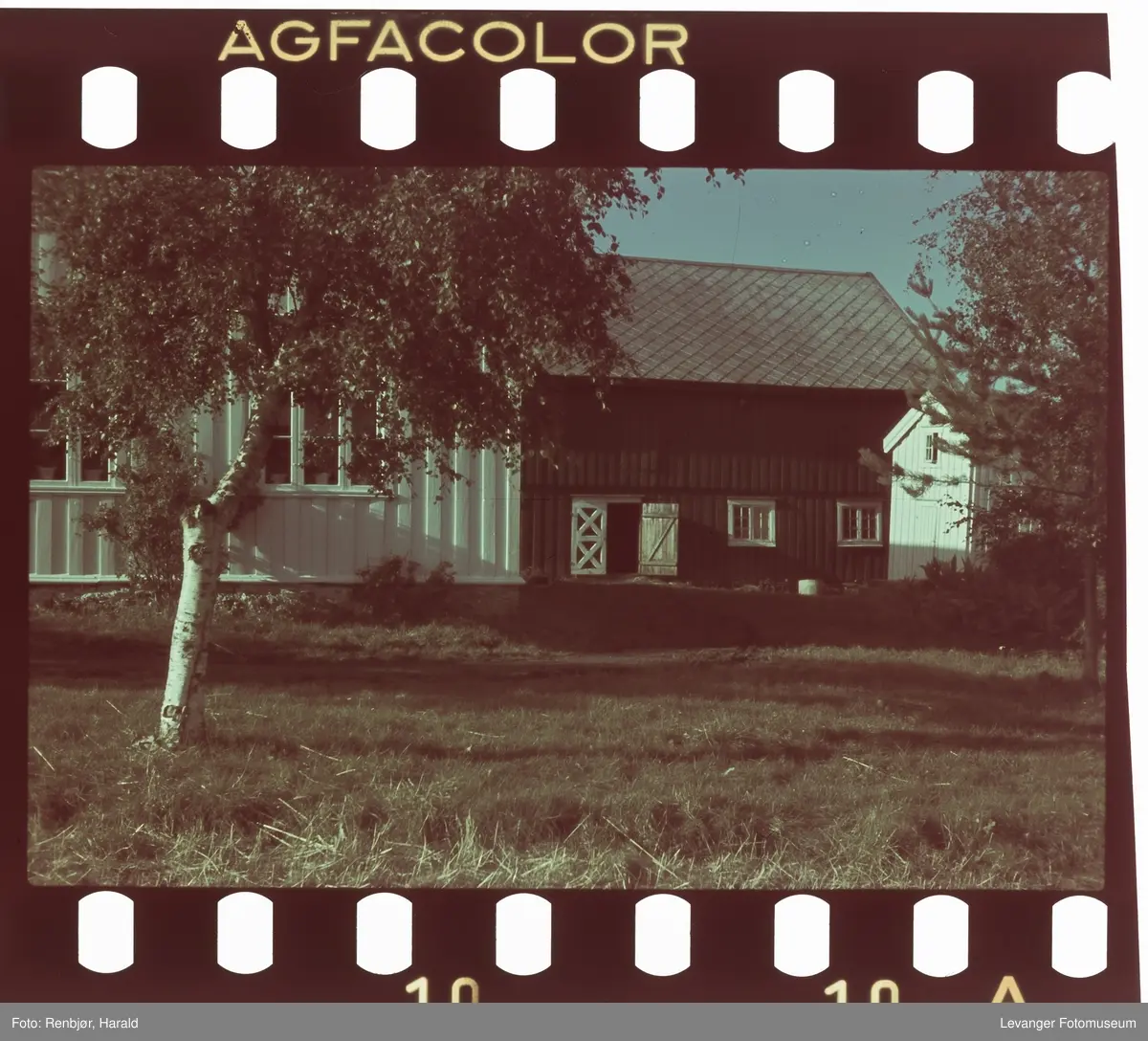 Gård på Nesset i Levanger - Levanger Fotomuseum / DigitaltMuseum