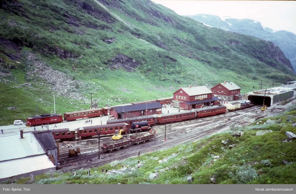 Oversiktsbilde over Myrdal stasjon - Norsk Jernbanemuseum / DigitaltMuseum