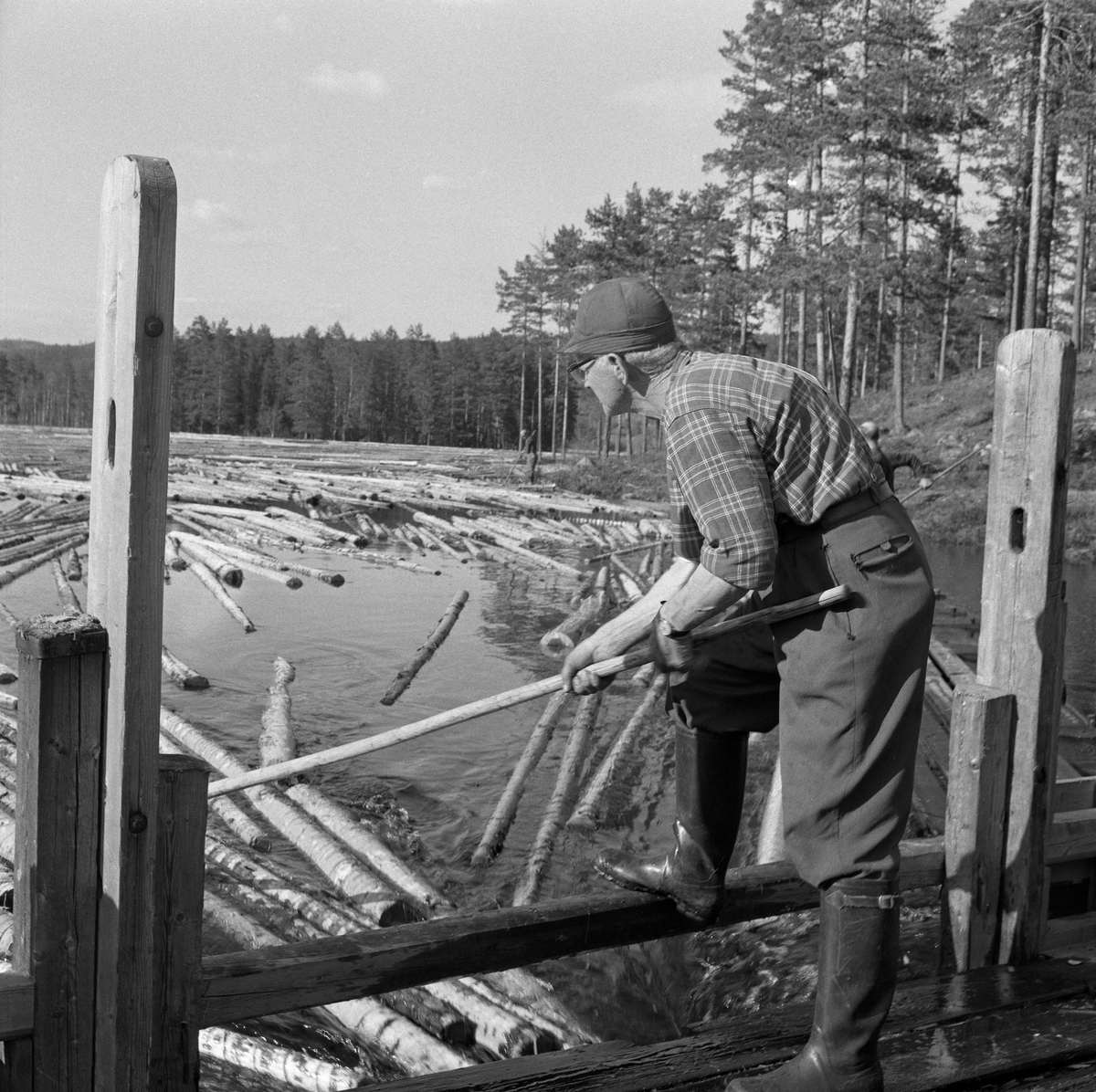 Fløting i Fjæstaddammen i Malungvassdraget, Romedal, Stange, Hedmark ...