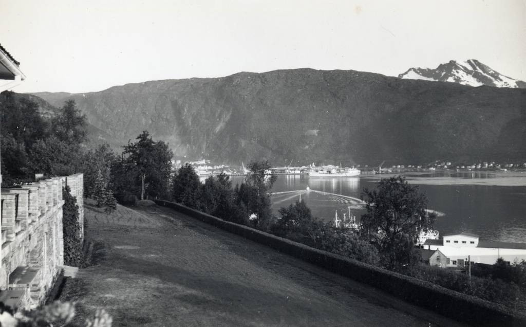 Hekken foran NSB`s distriktsjefbolien.-boligen. Narvik Havn ...