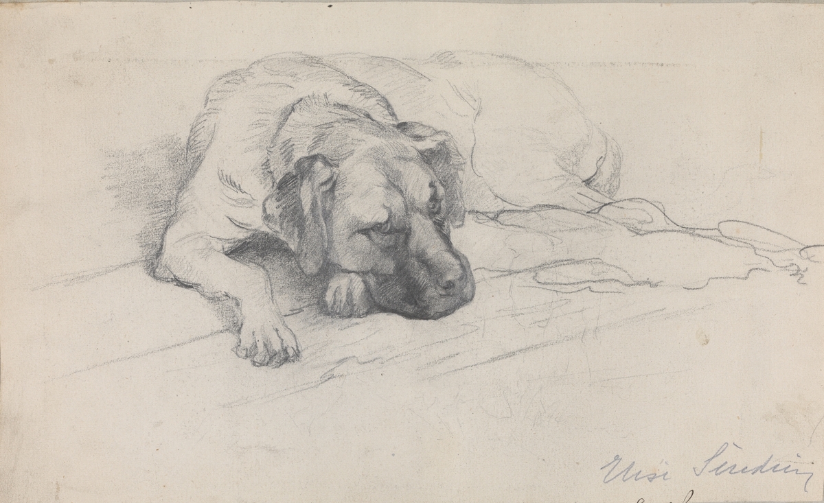 Liggende hund [Tegning] - Nasjonalmuseet, billedkunstsamlingene ...