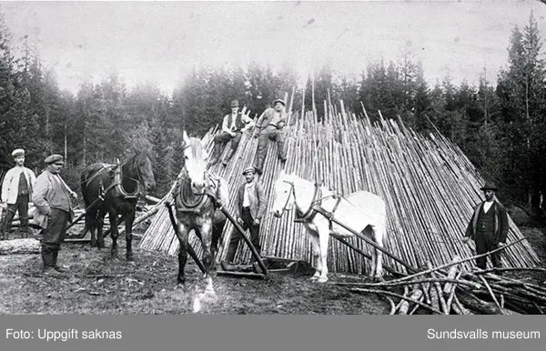 Virkeskörning till kolmila i Norrhassel fr v Emil Vesterlund, Lars-Olov ...