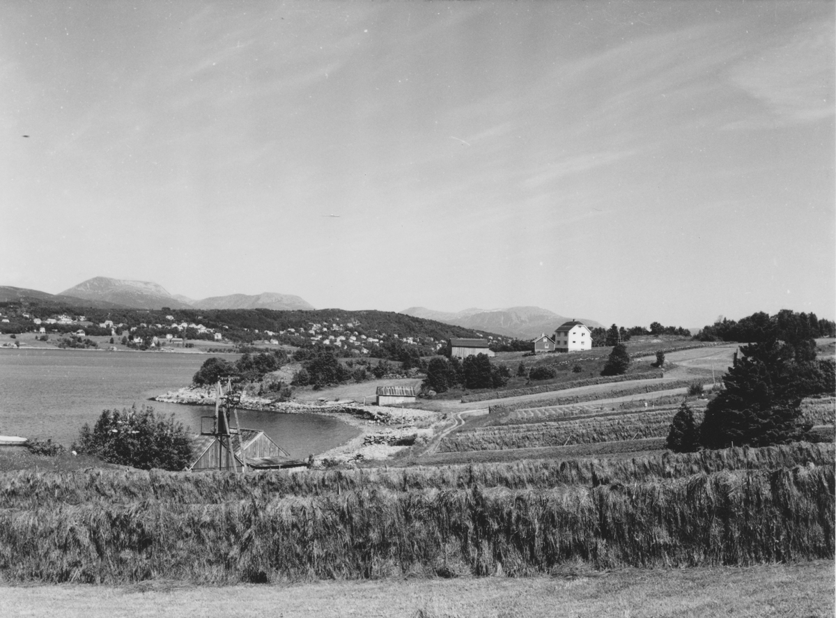 Gården på Djupvik der tunet til den gamle Djupvik- gården lå. Utsikt ...