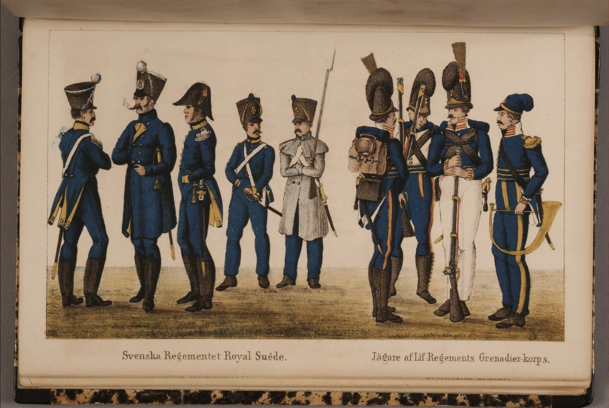 Royal Suédois. Jägare av Livregementets grenadjärkår. Uniformsteckning av Carl Johan Ljunggren ...