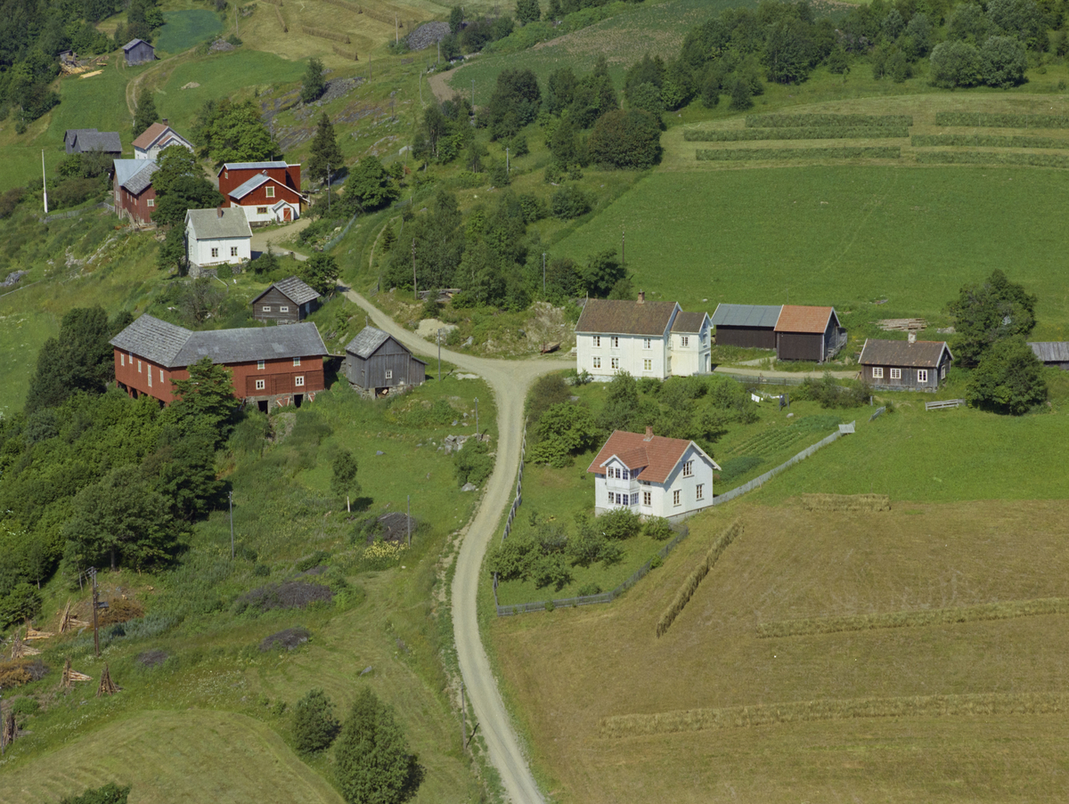 Vingrom, Tre gårder Ovren, kulturlandskap - Maihaugen / DigitaltMuseum